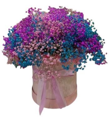 Blue and Purple Amazing Trio Baby's Breath Box – Elegant and Fresh ...