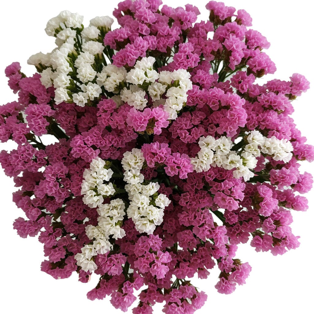 Bouquet Pink and White Limonium | Delicate & Elegant Floral Gift ...
