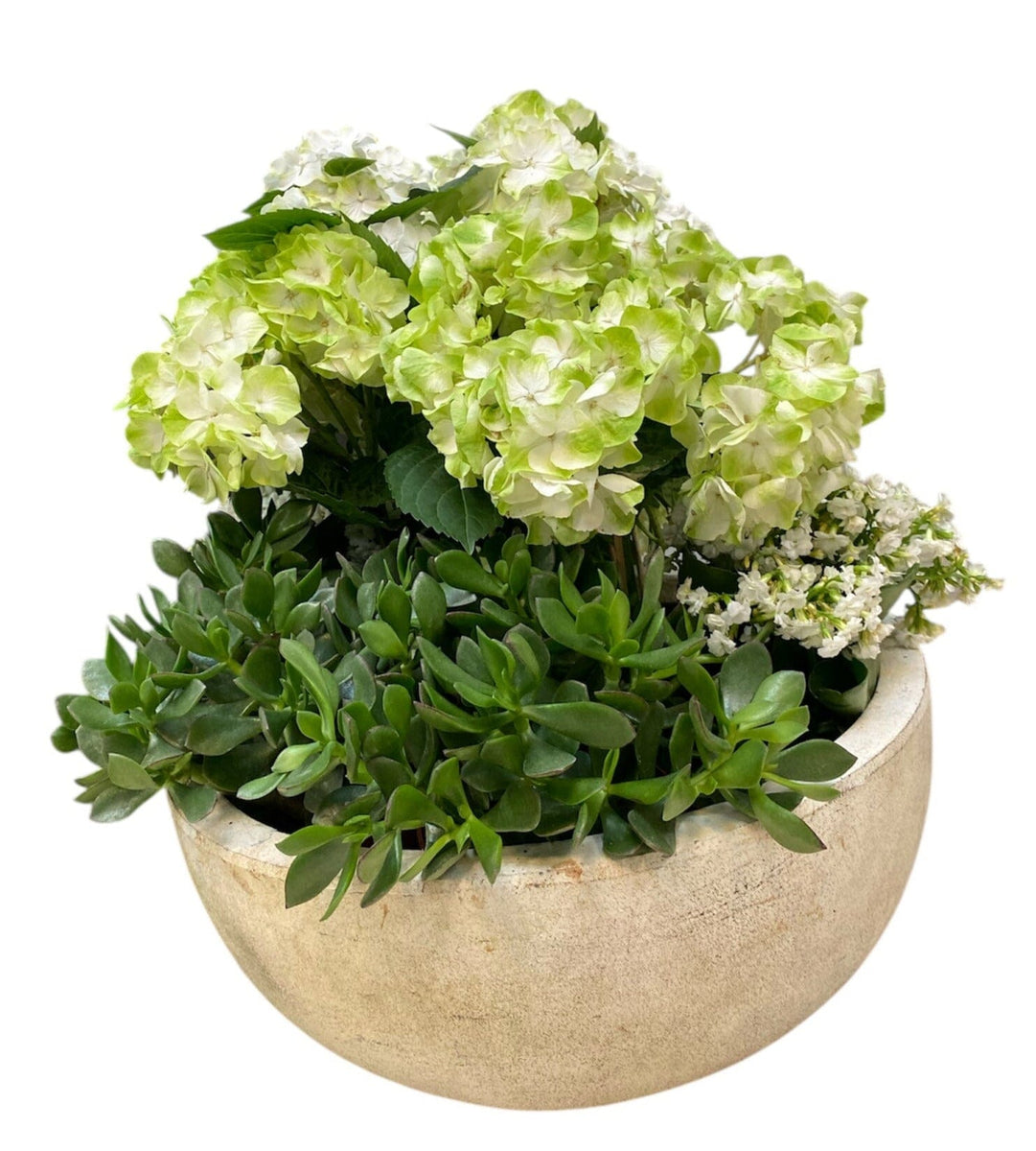 Ceramic Bowl Pot of Hydrangea & Assorted Plants | Elegant Plant Gift ...