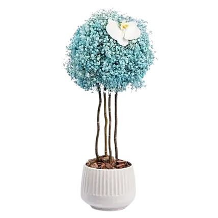 Cute Gypsophila Tree Arrangement | Elegant Floral Display | Flowers Box ...