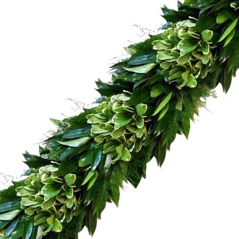 Evergreen Cocculus and Pittosporum Ilan Garland | Lush Seasonal Decor ...