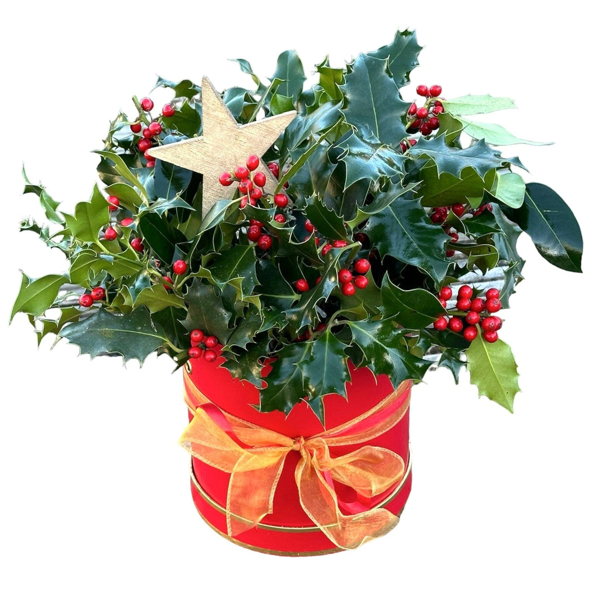 Christmas Holly Box: Festive Elegance for Your Holiday Delights ...