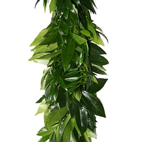 Fresh Green Cocculus and Ruscus Event Garland | Elegant Décor for ...