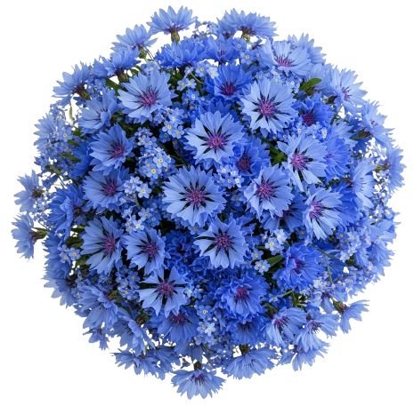 Just Blue Bouquet | Elegant Blue Floral Arrangement with Delivery in UK ...