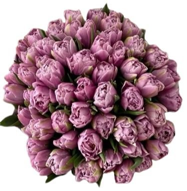 Lavender Double Tulips Bouquet | Order Now - UK Delivery by Flowers Box ...