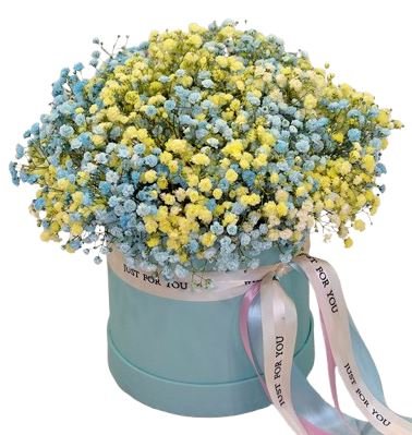 Light Blue and Yellow Baby's Breath Box | Elegant Floral Gift – Flowers ...