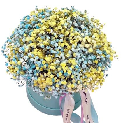 Light Blue and Yellow Baby's Breath Box | Elegant Floral Gift – Flowers ...