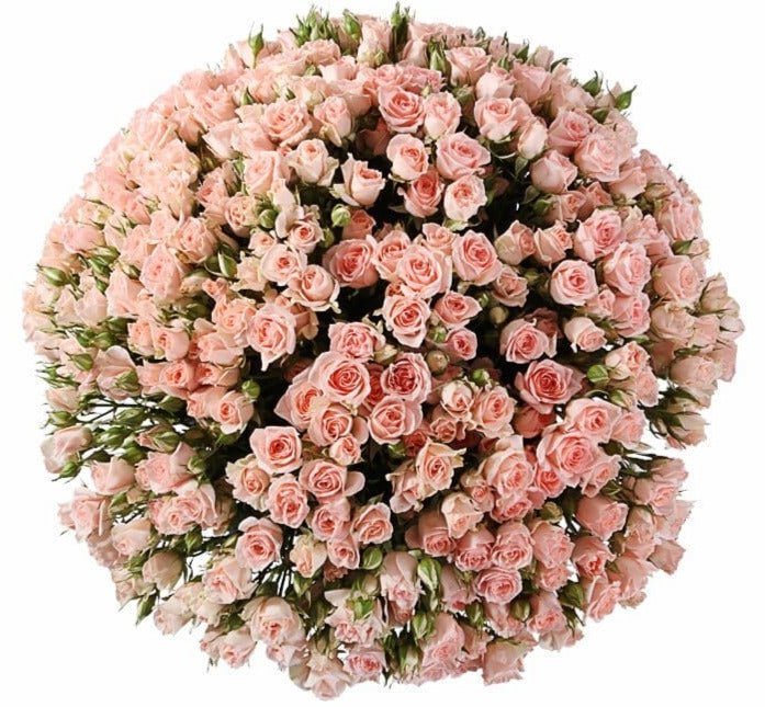 Light Pink Spray Roses Bouquet – Soft, Elegant Floral Gift – Flowers ...