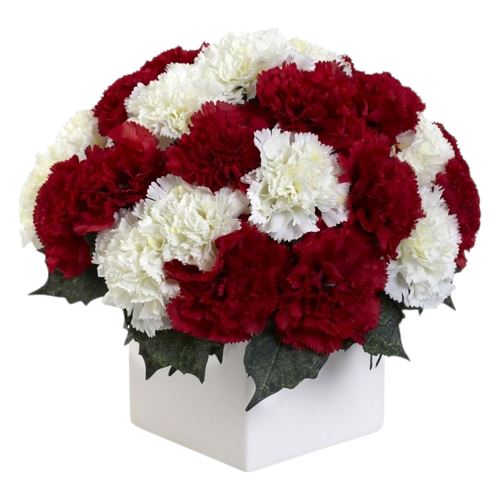 Lovely Box of Carnations | Swift UK Delivery | Order Now from Flowers ...