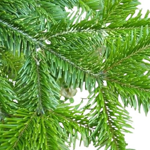 Fresh Normand Fir Branches | Perfect for Holiday Decor & Wreaths ...