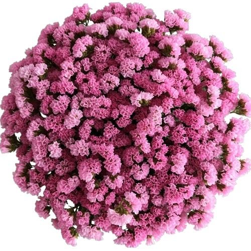 Pink Limonium Bouquet | Swift UK Delivery | Order Now from Flowers Box ...
