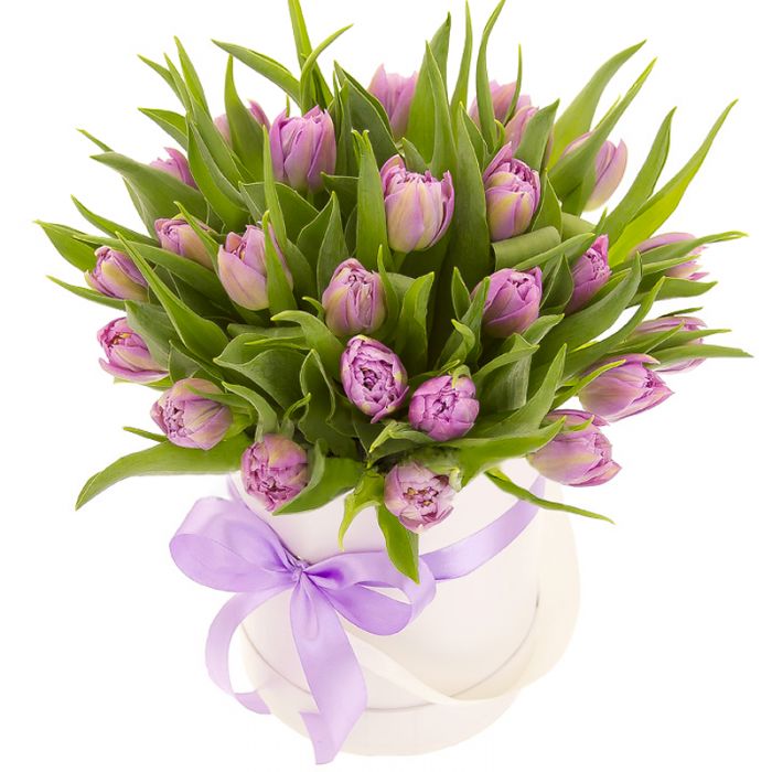 Pretty Box of Double Tulips – Flowers Box London | UK Doorstep Delivery