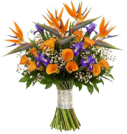 Radiance of Exotic Blooms Bouquet – Vibrant and Unique Floral Gift ...