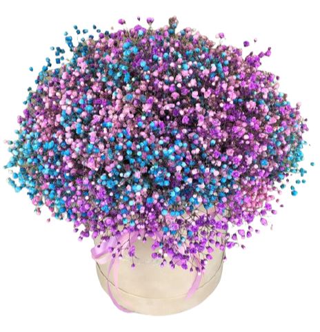 Blue and Purple Baby's Breath Box – Flowers Box London