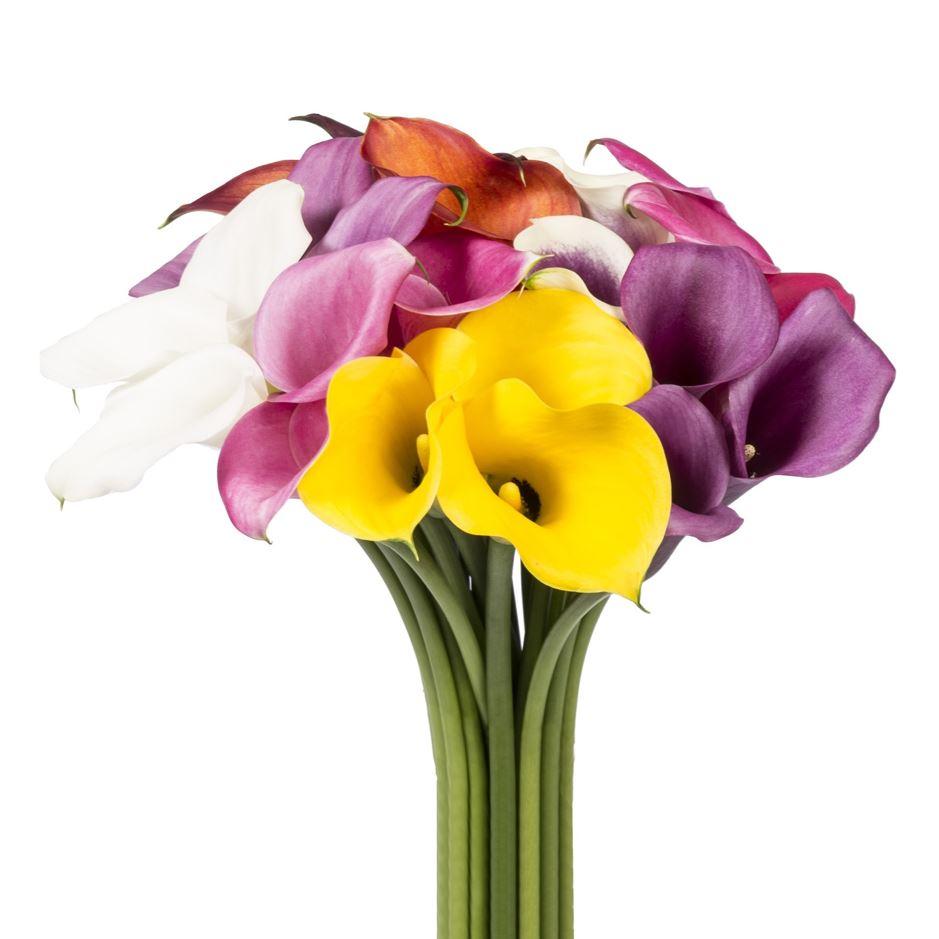 Rainbow Lily Bouquet When Words Fall Short, Let Flowers Speak 💐