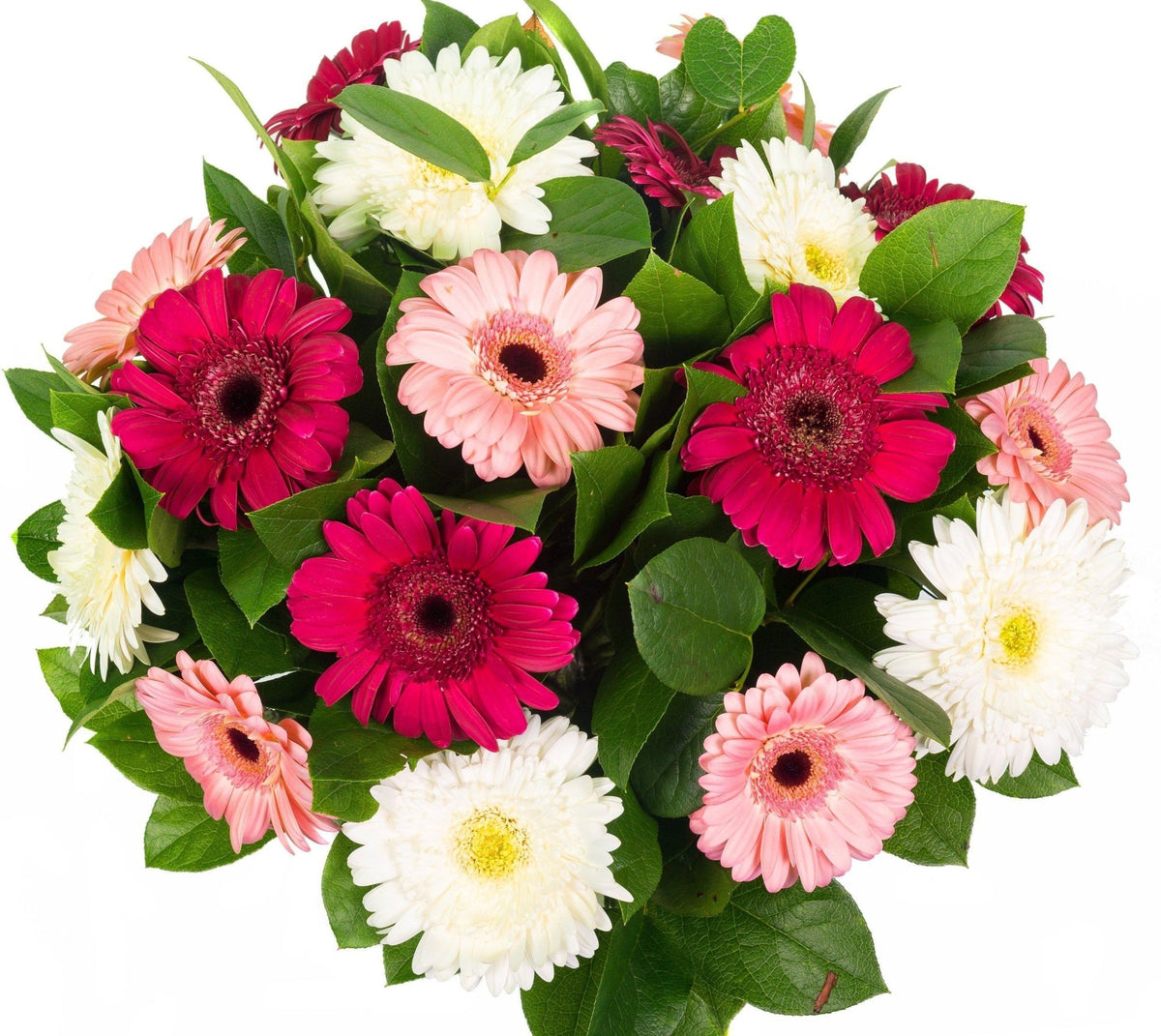 Fantasy Gerbera Bouquet – Colourful & Cheerful Flowers | Flowers Box London