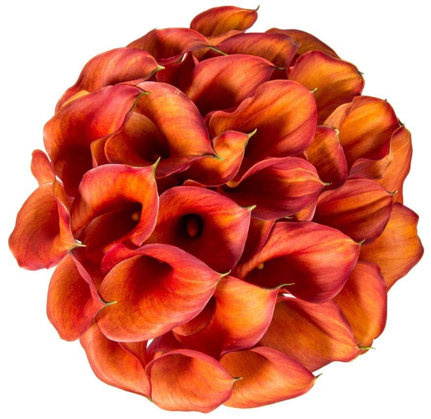 Radiant Beauty: Orange Calla Lily Bouquet | Flowers Box London