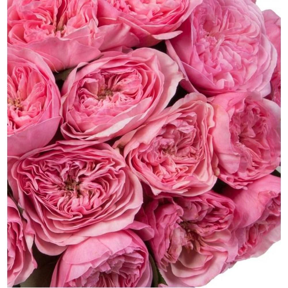 Princess Garden Roses Bouquet | Next Day Delivery Nationwide by Flowers ...