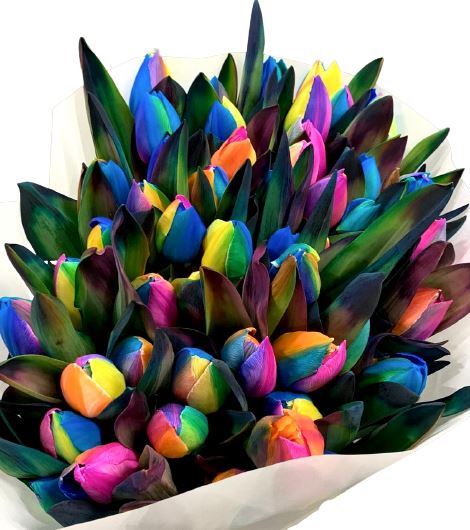 Vibrant Harmony: Rainbow Tulips Bouquet for a Burst of Color | Flowers ...