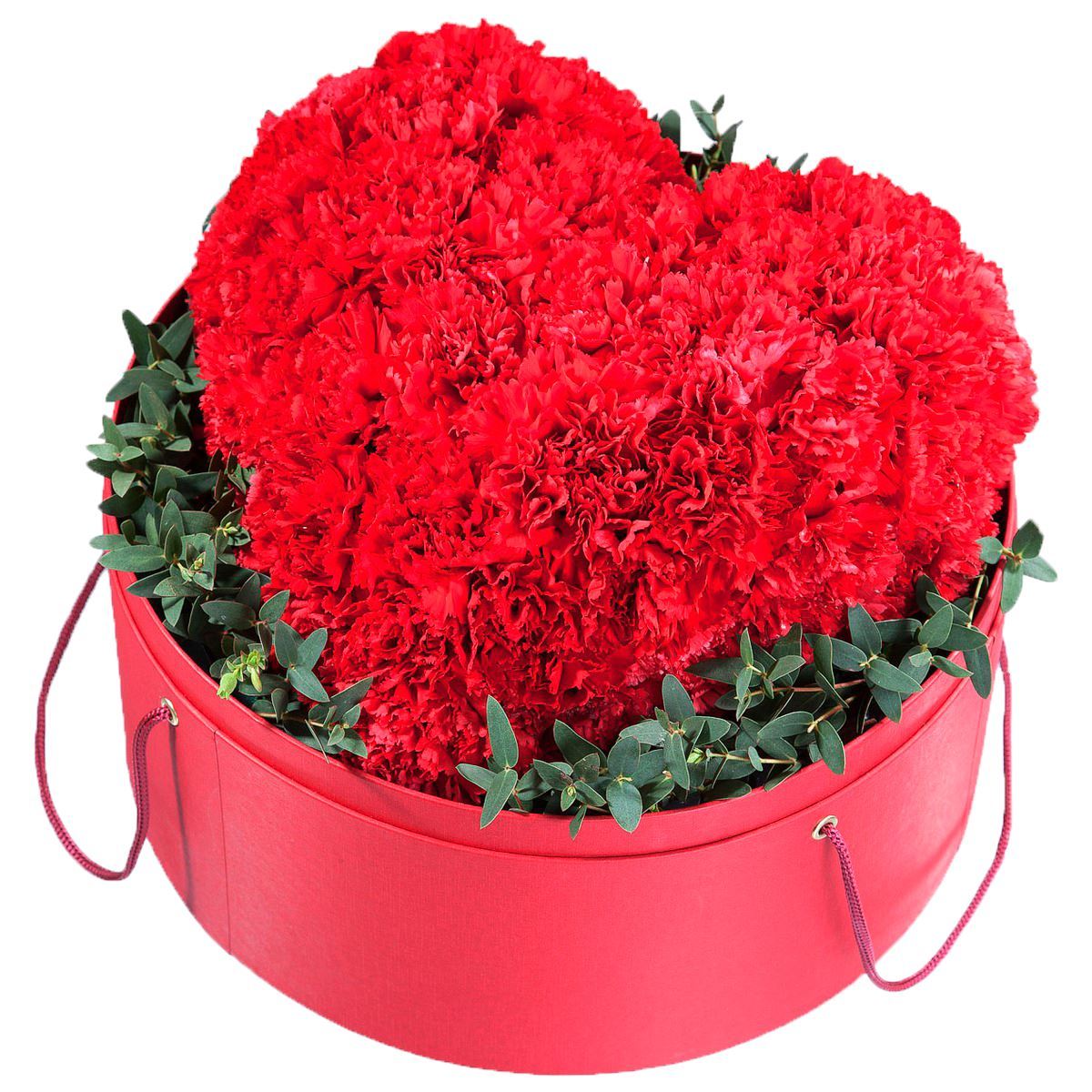 Red Carnations Heart in a Box - Same Day Delivery in London - Flowers ...